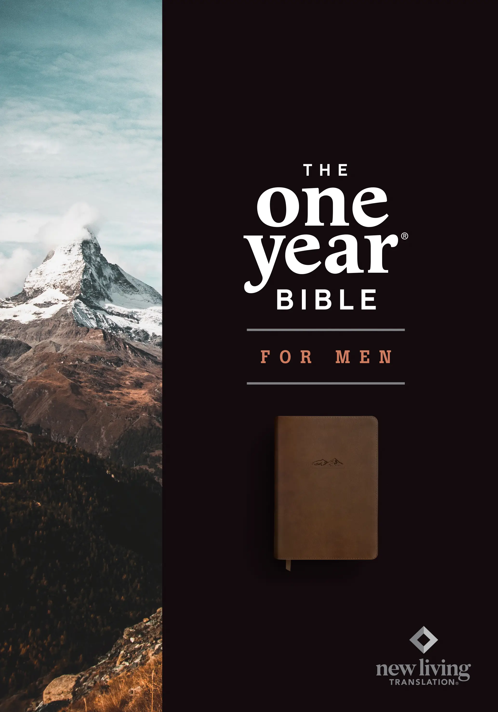 NLT The One Year Bible For Men - Tyndale